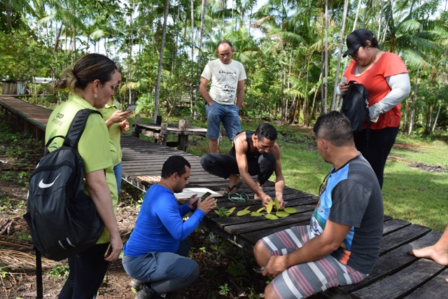 Moradores da comunidade do rio Maniva mostram na prática as lições de ...
